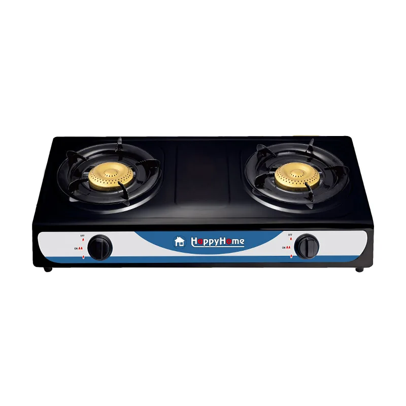 Double Burner Gas Stove with Stainless Steel Panel