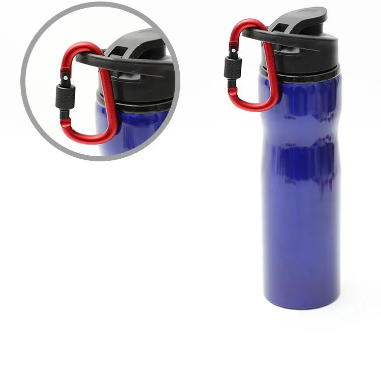 Carabiner Aluminum Screw Locking Spring Clip Hook Outdoor D Shaped ...