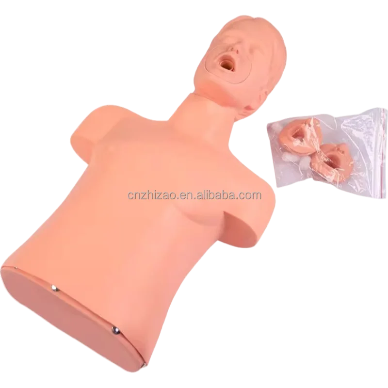 Half Body Human Airway Obstruction Cardiopulmonary Resuscitation (CPR) Training Simulator ...