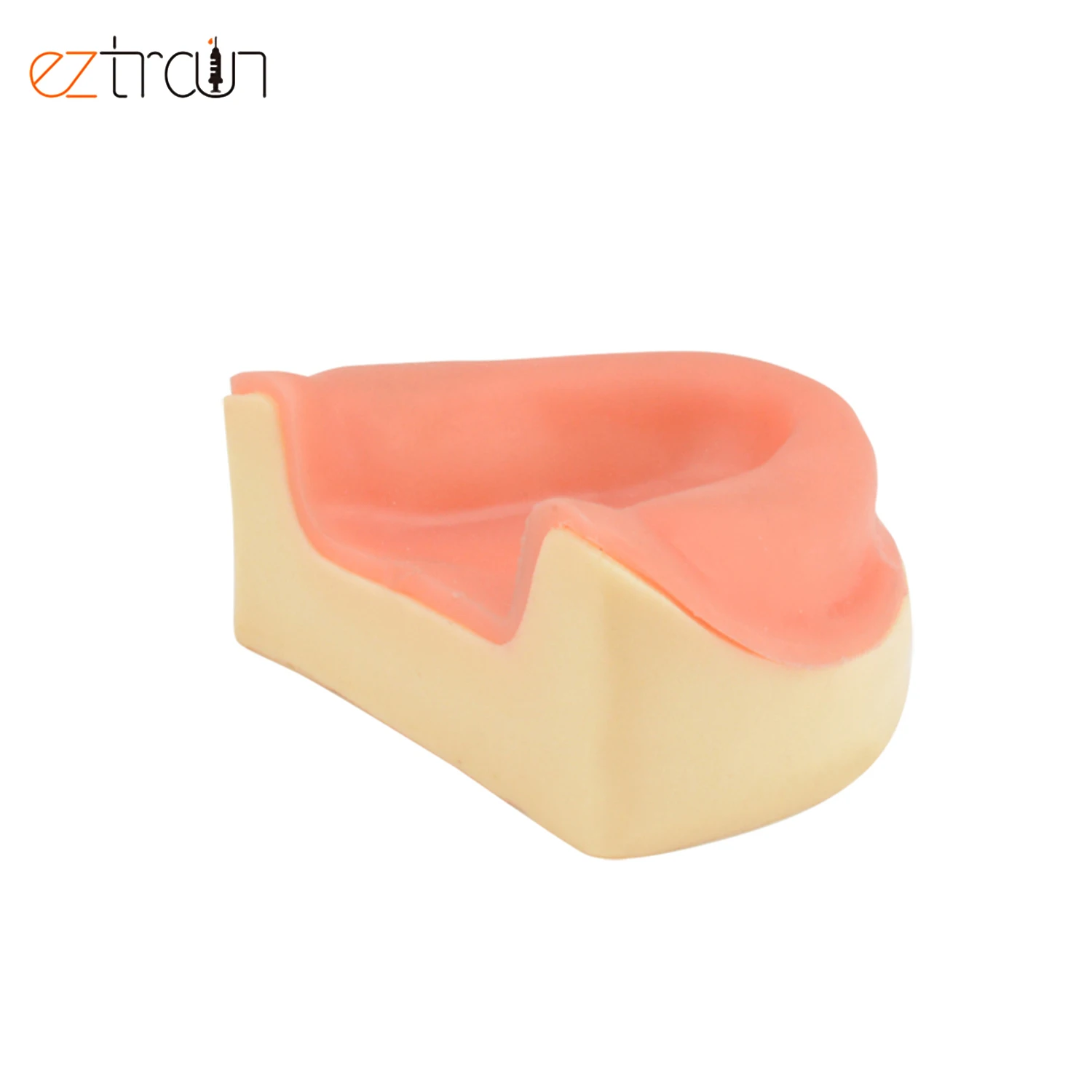 Implant Practice Mandibular Jaw Teeth Model| Alibaba.com