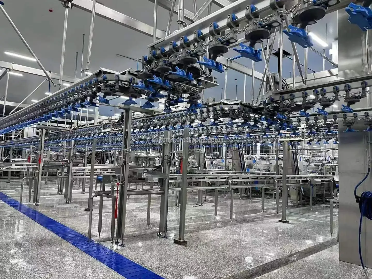 1000/hour Chicken Slaughter Line - High Efficiency Poultry Processing