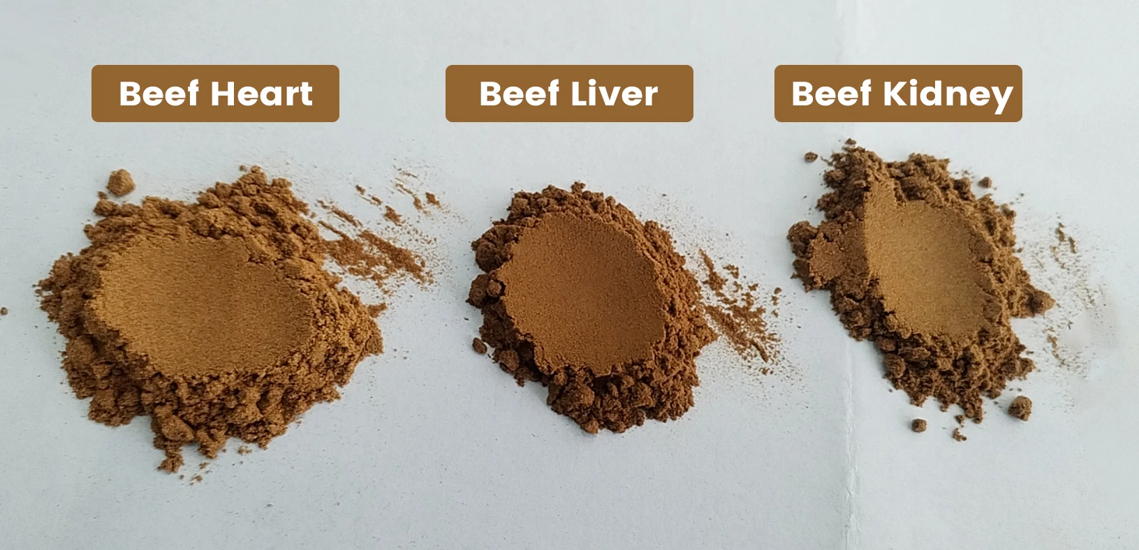 FocusHerb Beef Viscera Capsules Beef Liver Heart Kidney Pancreas Spleen ...