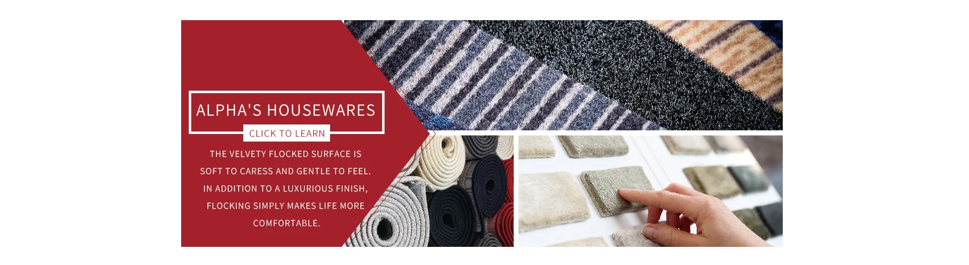 Company Overview - ALPHA HOLDING CO., LIMITED