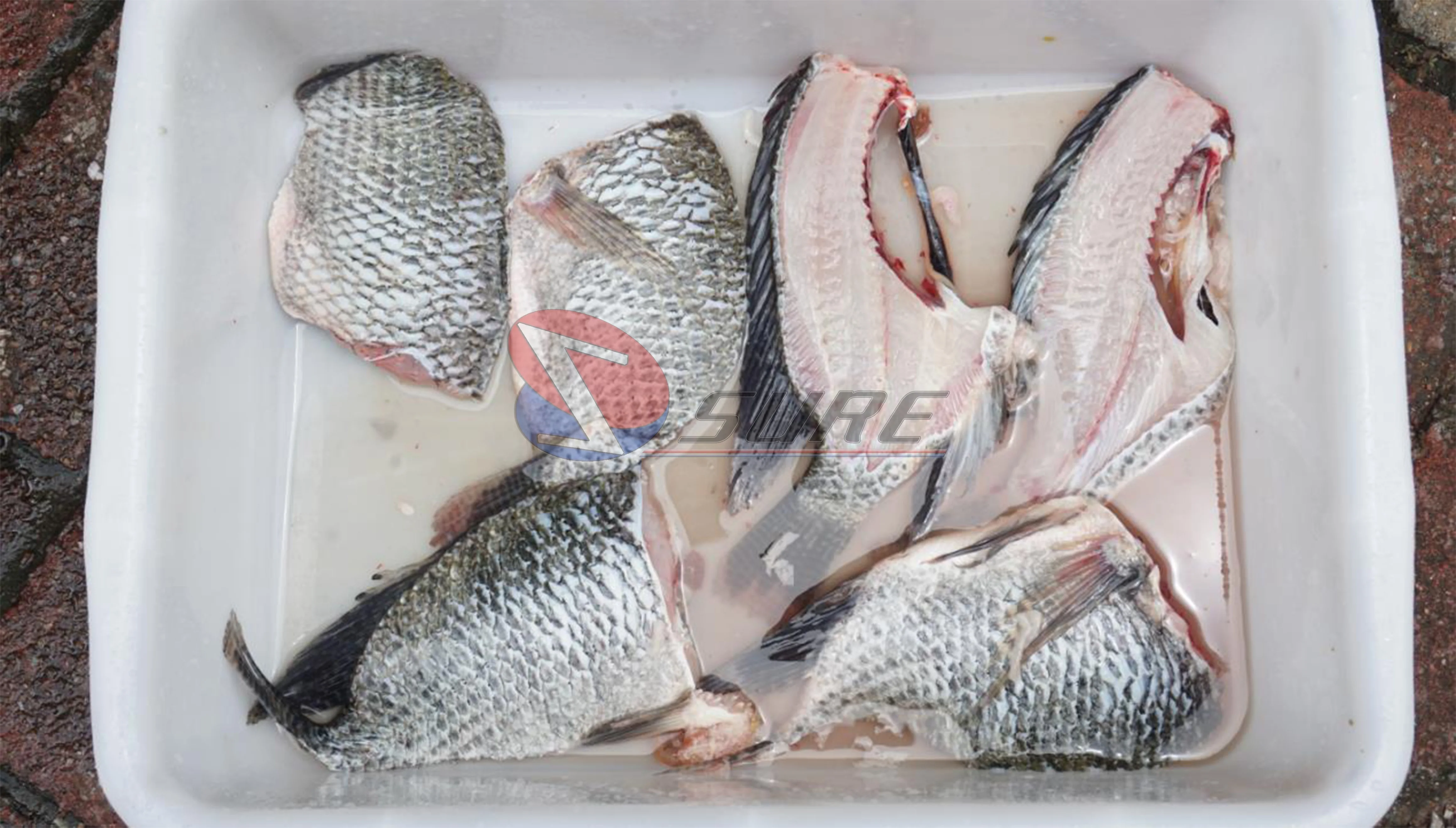 Automatic Fish Filleting Machine Salmon Tail Fish Fillet Making Machine ...