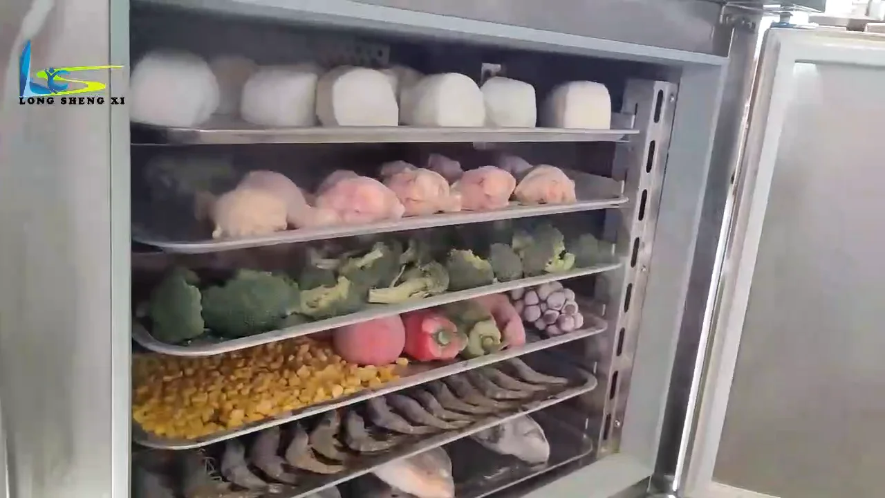 Home Shock Freezer/100l Cake Blast Freezer/gleto Freezers Stainless ...