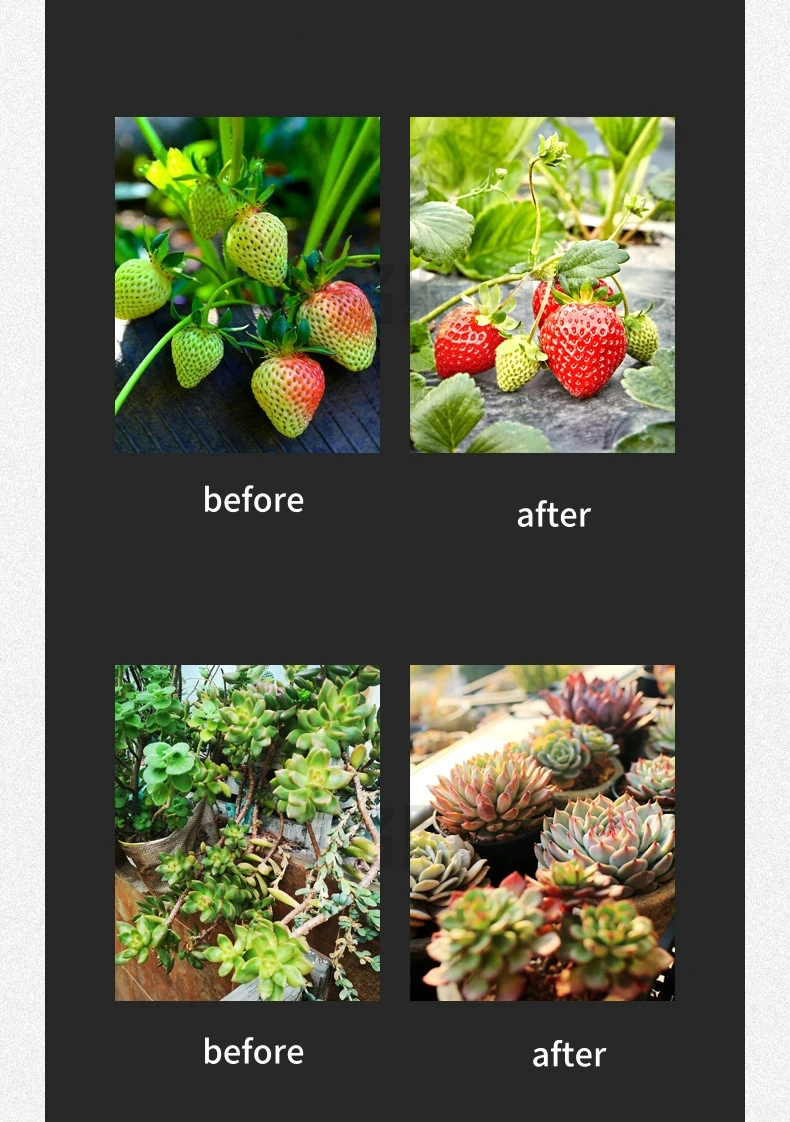 Full Spectrum Red Blue T8 Led Tube Indoor Grow Light System For ...