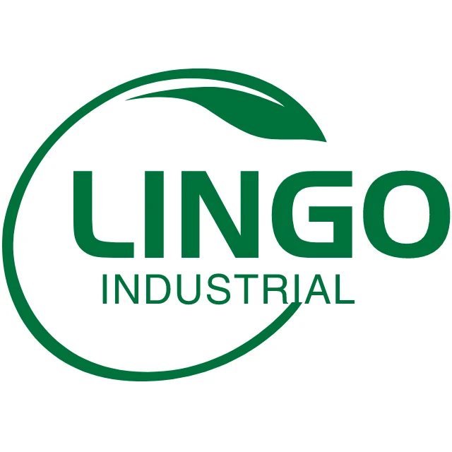 Company Overview - Lingo Intustry (shenzhen) Co., Ltd.
