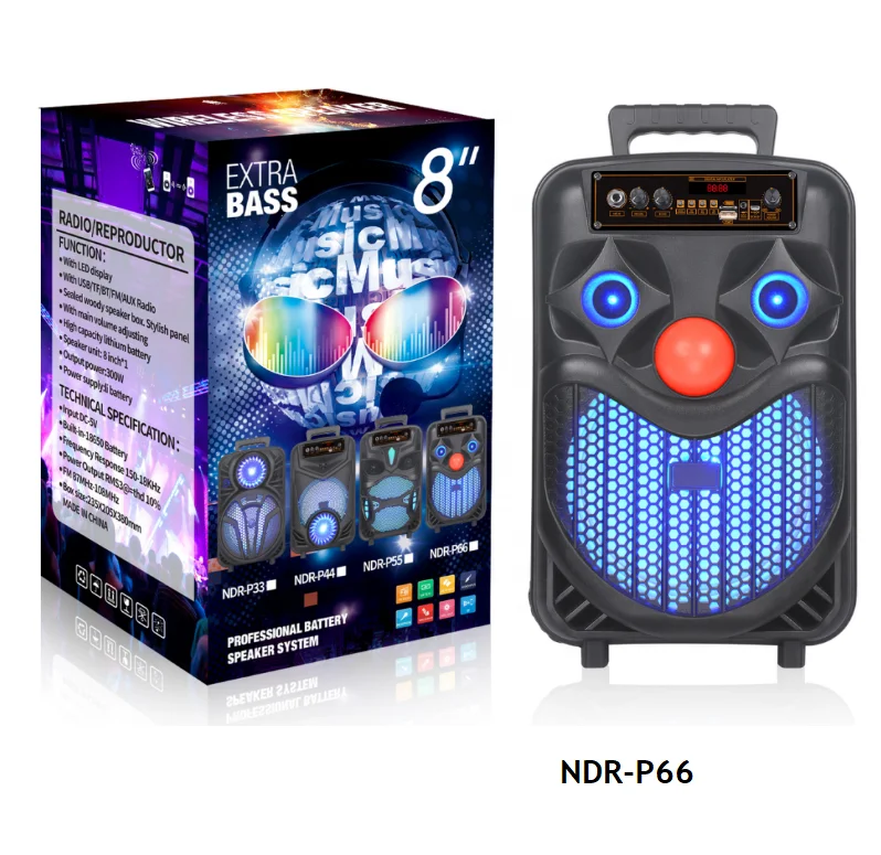 NDR-P55 Karaoke Speaker - 8 Inch Woofer with BT & Remote