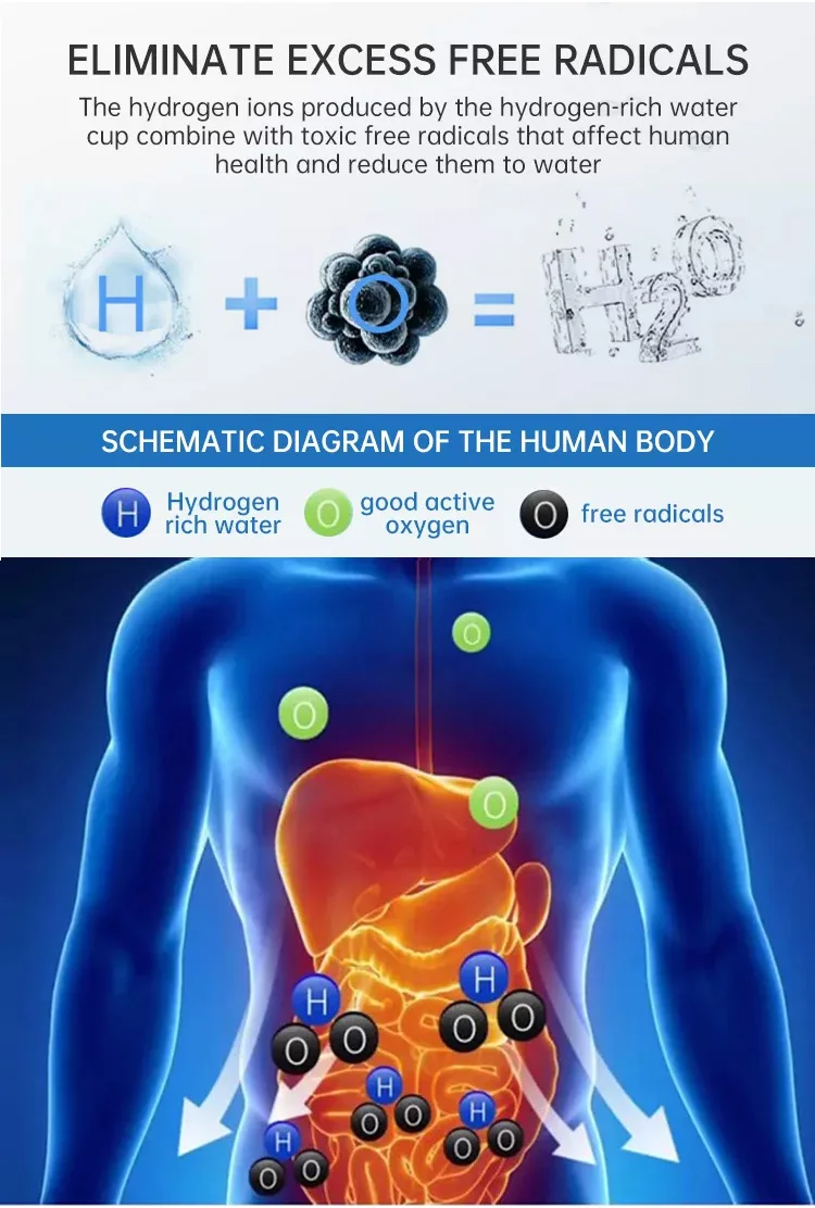 Hydrogen Water Glass Bottle Spe Pem Fast Electrolysis Stainless Steel ...