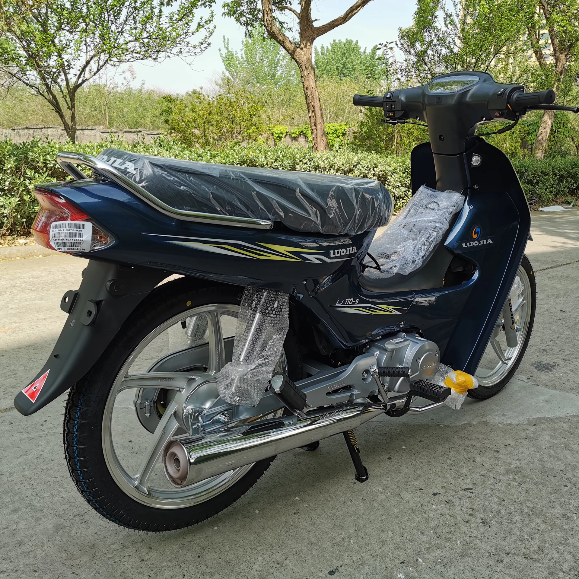 110cc Motorcycle by LUOJIA - High Performance & Reliability