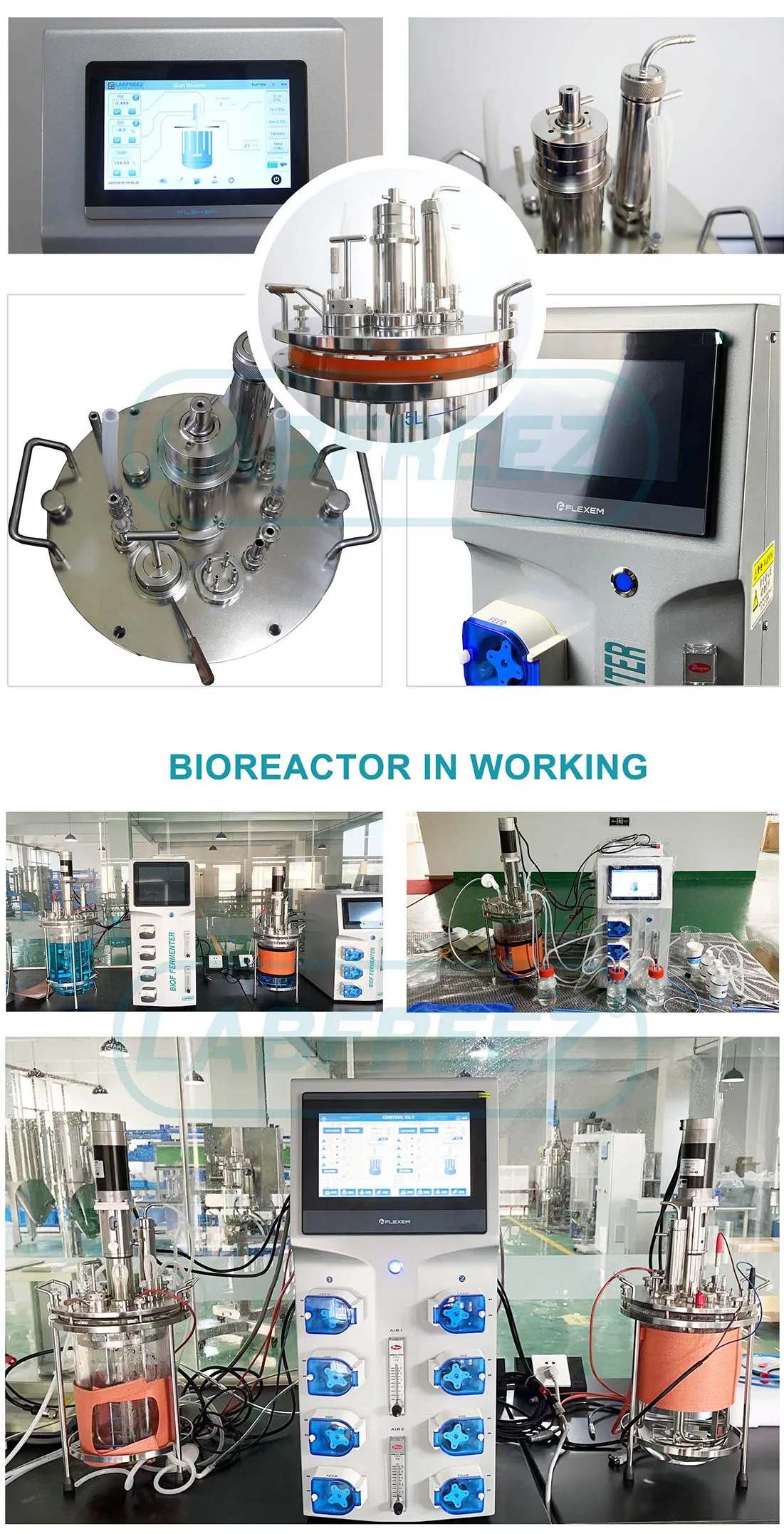 Bioreactor Fermenter - 1L to 15L Capacity for Lab & Industry