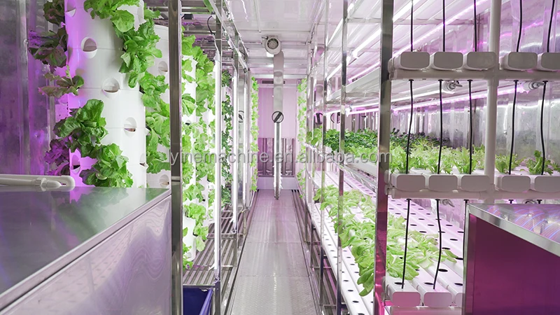 Vertical Hydroponic Shipping Container Farm Mobile Shipping Container ...