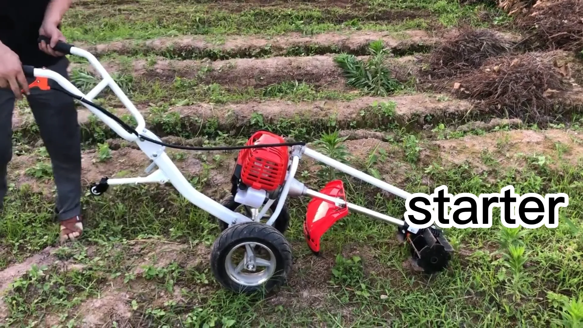 Hand Push Lawn Mower Trimmer Gx35 37cc Gasoline Brush Cutter 4 Stroke ...