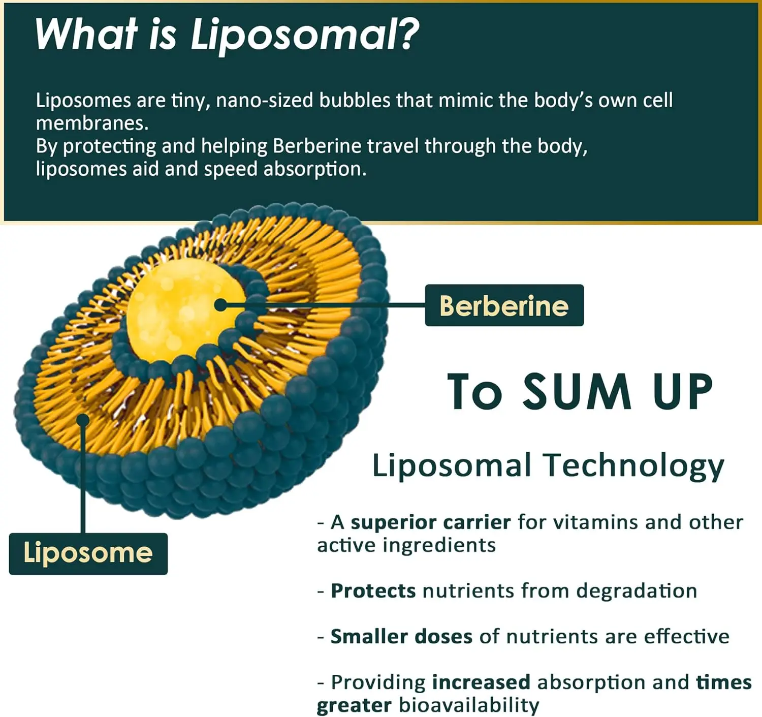 Vegan Liposomal Berberine Gummies for Metabolism Balance