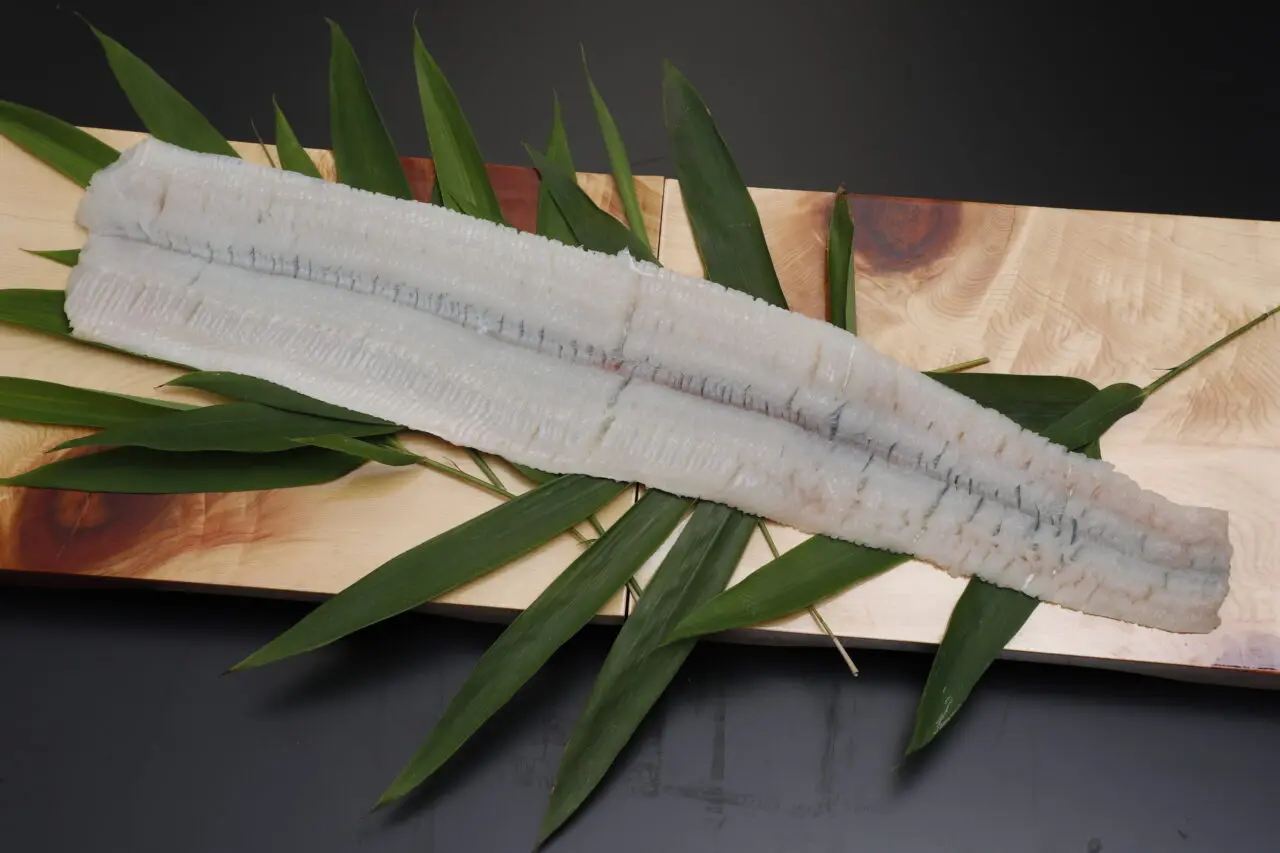 Hamo Conger Eel Bone Cutting Special Chilled Knife Types Of Fish ...