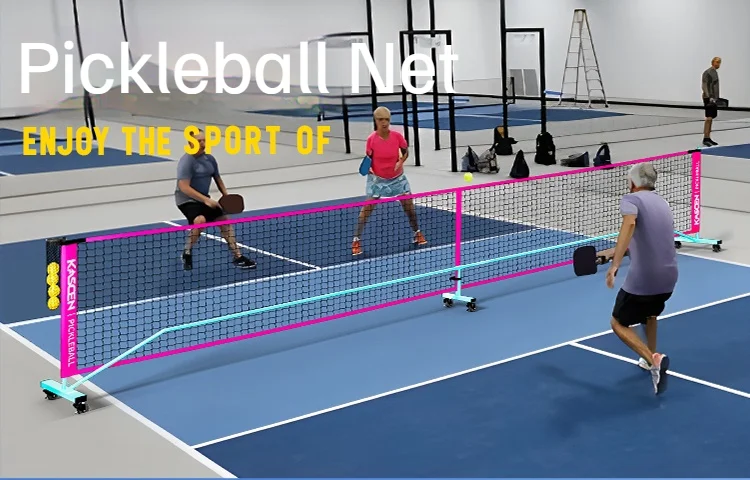 Customizable Logo Color Pickleball Net Indoor Outdoor Sports Portable ...
