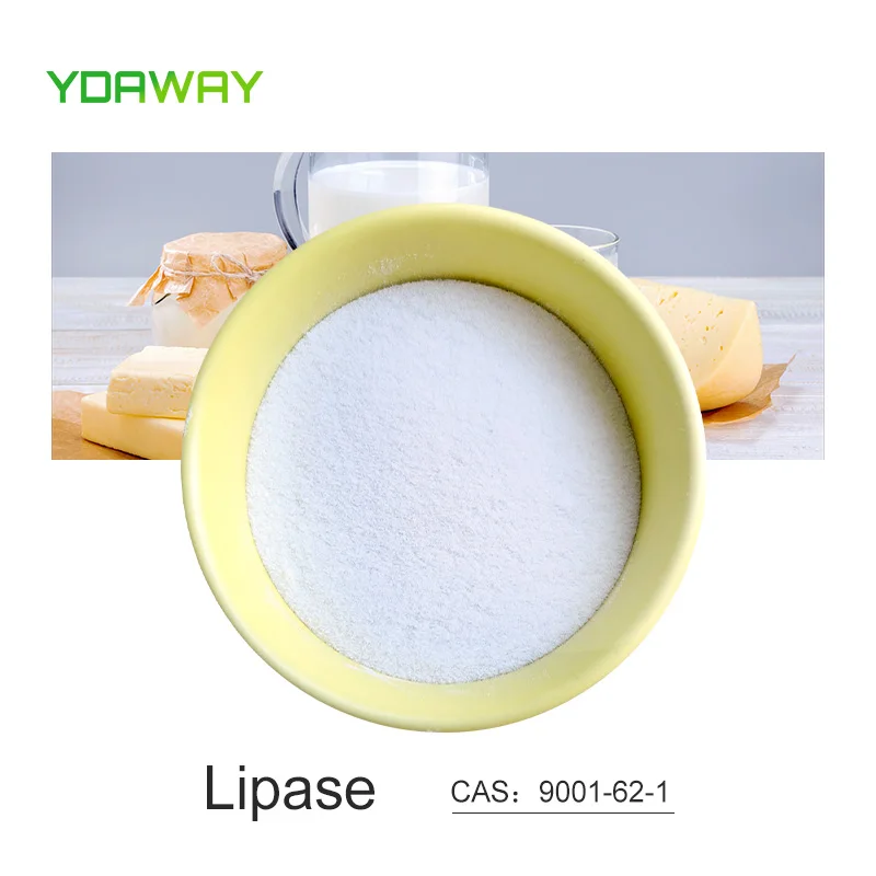 Alibaba.com: Food Grade Lipase Enzyme Powder for Cheese Making, 2-3 day ...