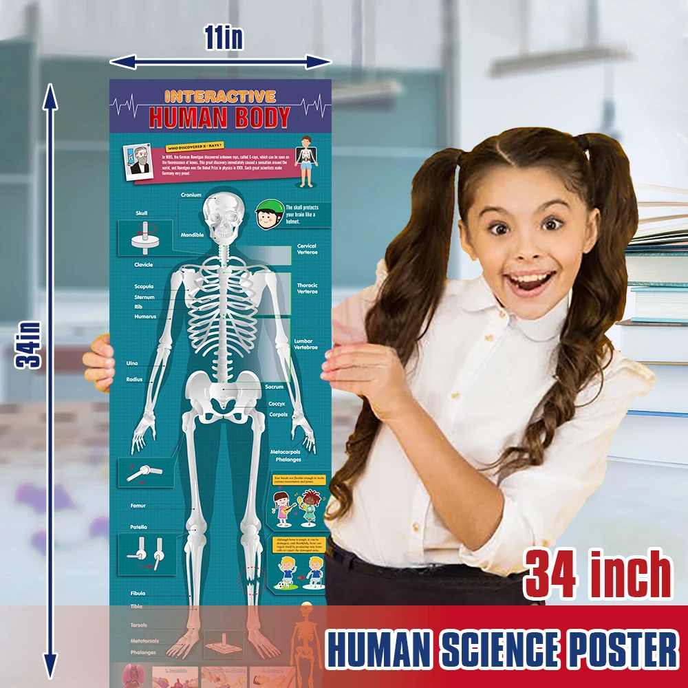 Interactive Human Body Learning & Educational Toys Organ Knowledge ...