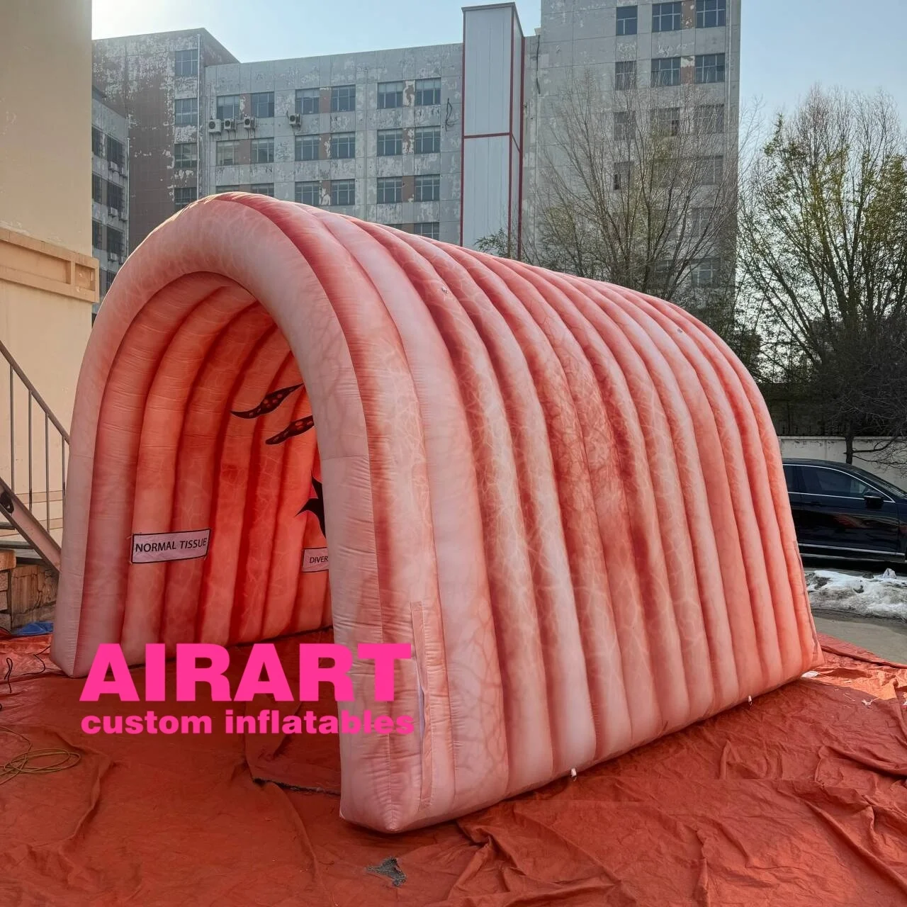 Large Intestine Inflatable Model For Medical,Mega Colon Inflatables ...
