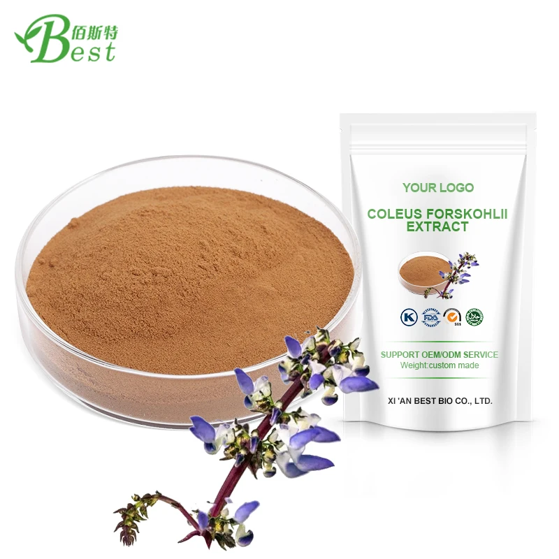 High Quality Coleus Forskohlii Root Extract Forskolin 10% - Buy Coleus ...