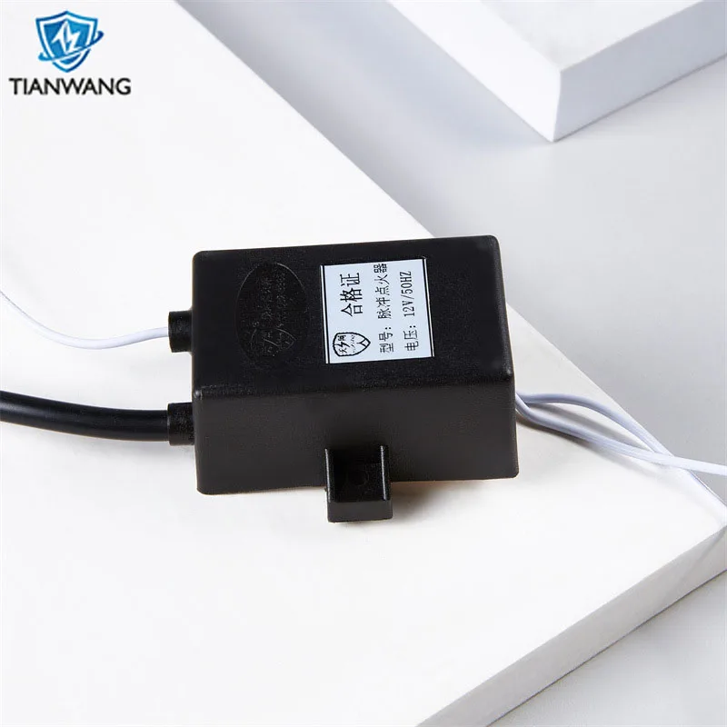 12V Electronic Gas Igniter - Reliable for Furnaces & Stoves