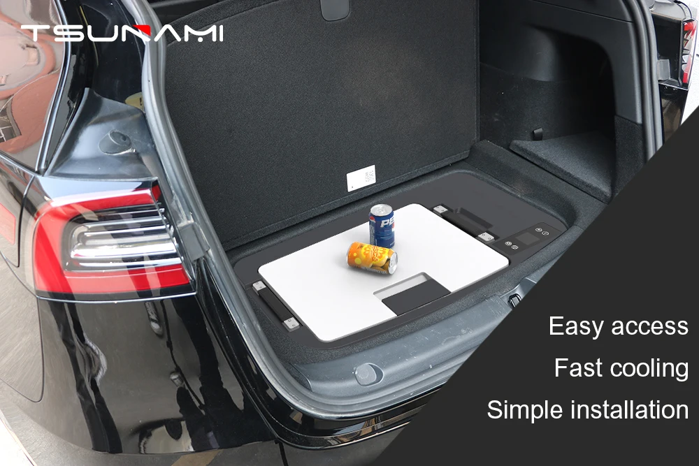 Tesla Model Y Freezer OEM 35L Compressor Fridge DC 12V Customized Car ...