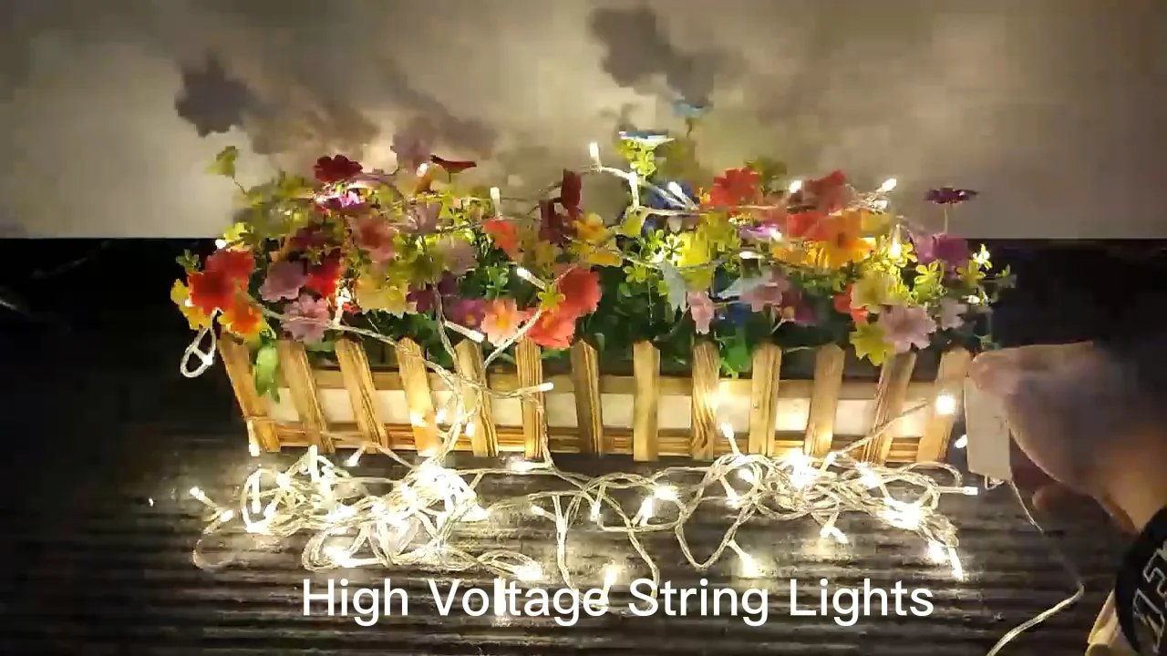 Outdoor Decoration Light 100m 600 Led Christmas Holiday Lighting Eu ...