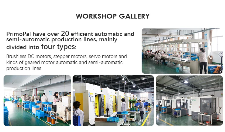 PrimoPal OEM 1000W 2KW 2200Watt Brushless DC Driver 6-24V Halless BLDC ...