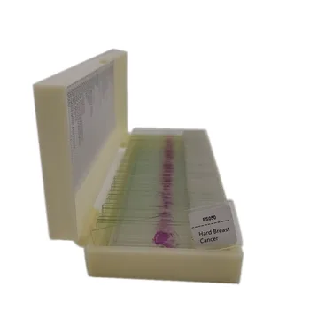 Fixed Set 50 Kinds Human Pathology Microscope Prepared Slides For ...