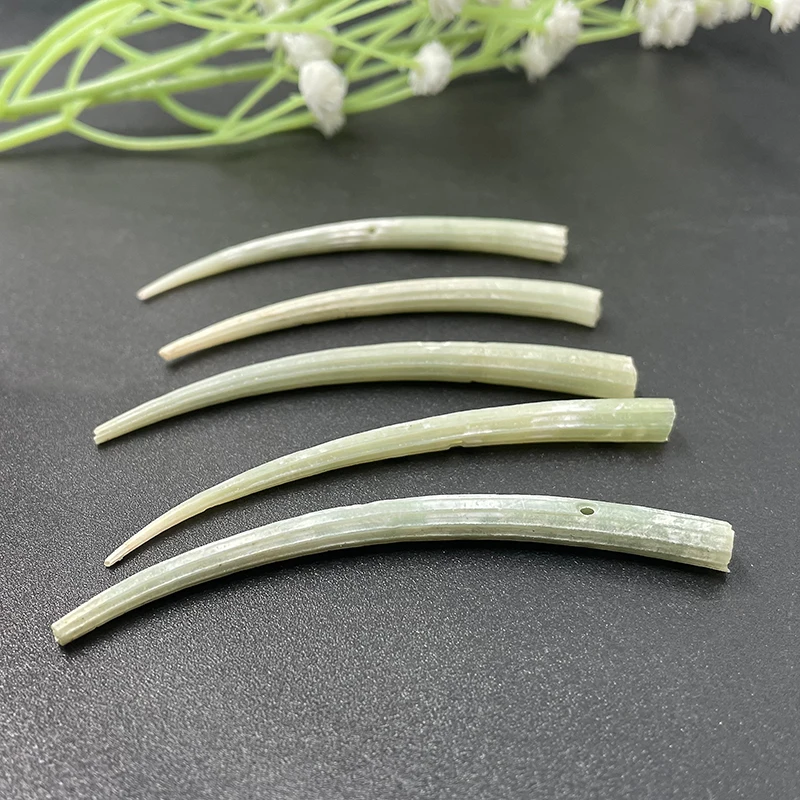 Wholesale Tooth Shell - Elephant's Tooth Shell for Home Decor