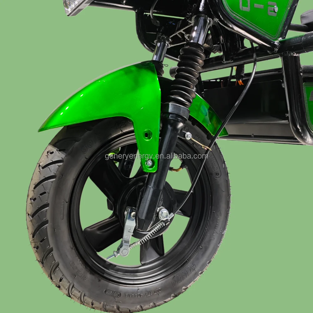 Electric Compact Size Massive Load 300kg Capacity Bike with Rear Hub ...