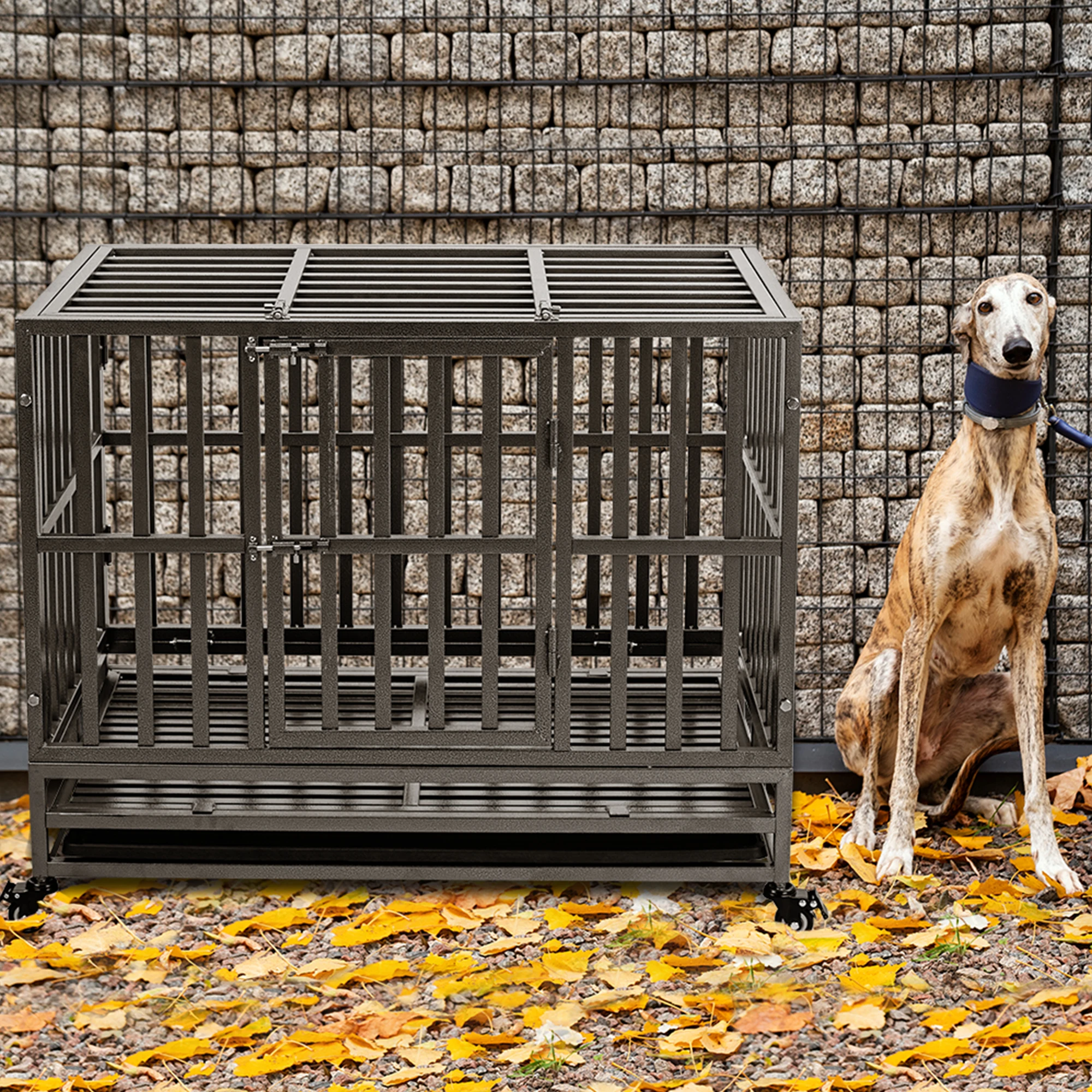 Upgrade 48 Inch Indoor Double Door Cage Kennel With Wheels,Removable ...
