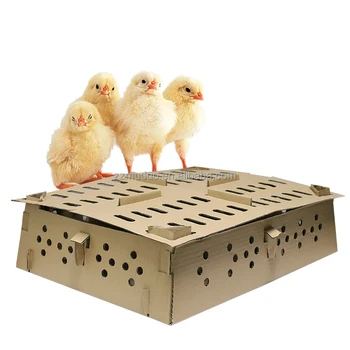 Day Old Chicks Transport Box Divided Transporting Carton Carrying Chick ...