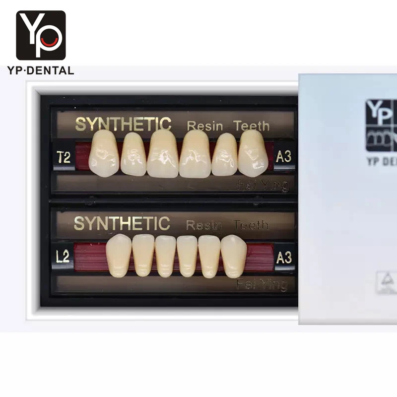 Acrylic Dentures: Polymer Resin Teeth from Anyang Yingpai Dental ...
