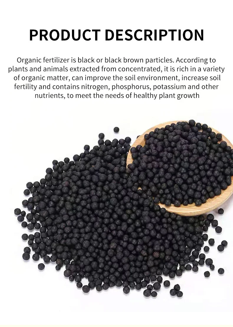 Shop Our Factory Price Sale of Granular Biochar Fertilizer