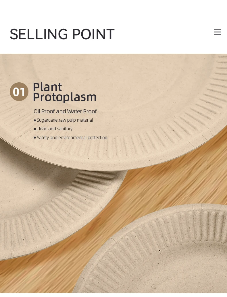 Bagasse Paper 10 Inches Microwavable Biodegradable Round Compostable ...