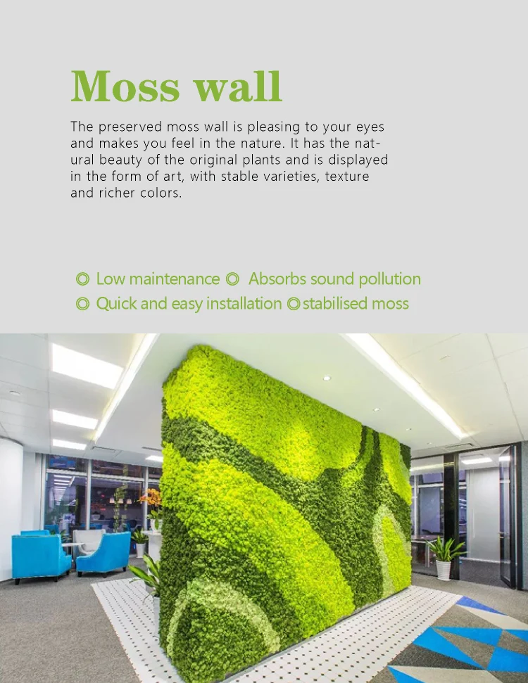 Customized Ready Made Natural Moss Frame Large Moss Wall Art Panels ...