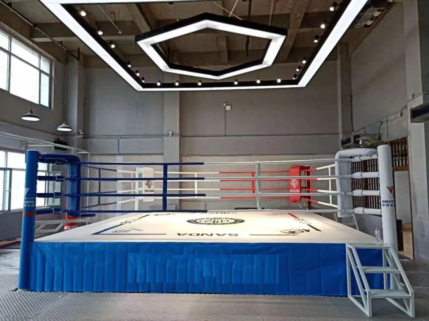 Professional Boxing Training Gym Sports Boxing Ring with Table or ...