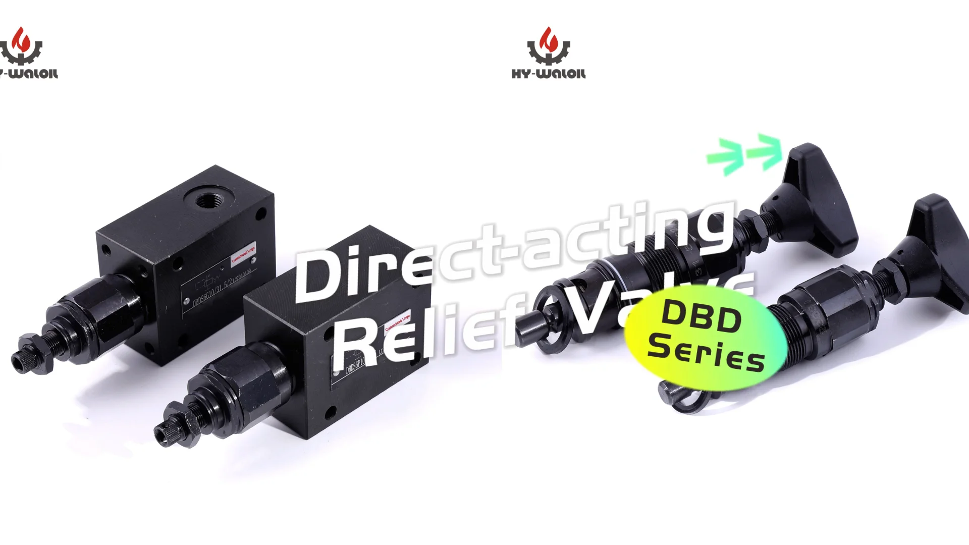 Dbd Series Pressure Relief Valve Dbds6k10/31.5 Direct Operated Type ...