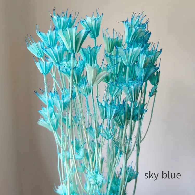 Natural Star Anise Octagon Flower Dried For Bouquets & Wedding Decor ...