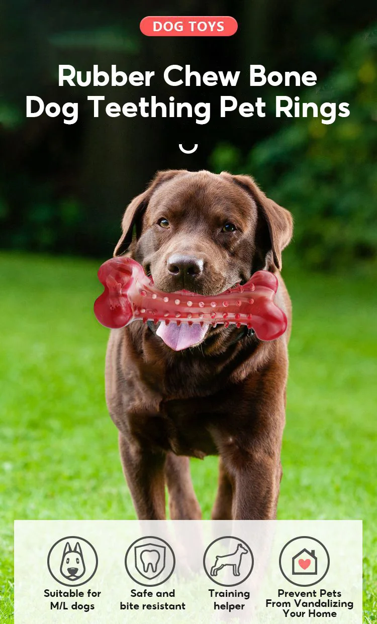 8-shaped Rolling Design Bone Interactive Durable Dog Chew Toys Dog ...