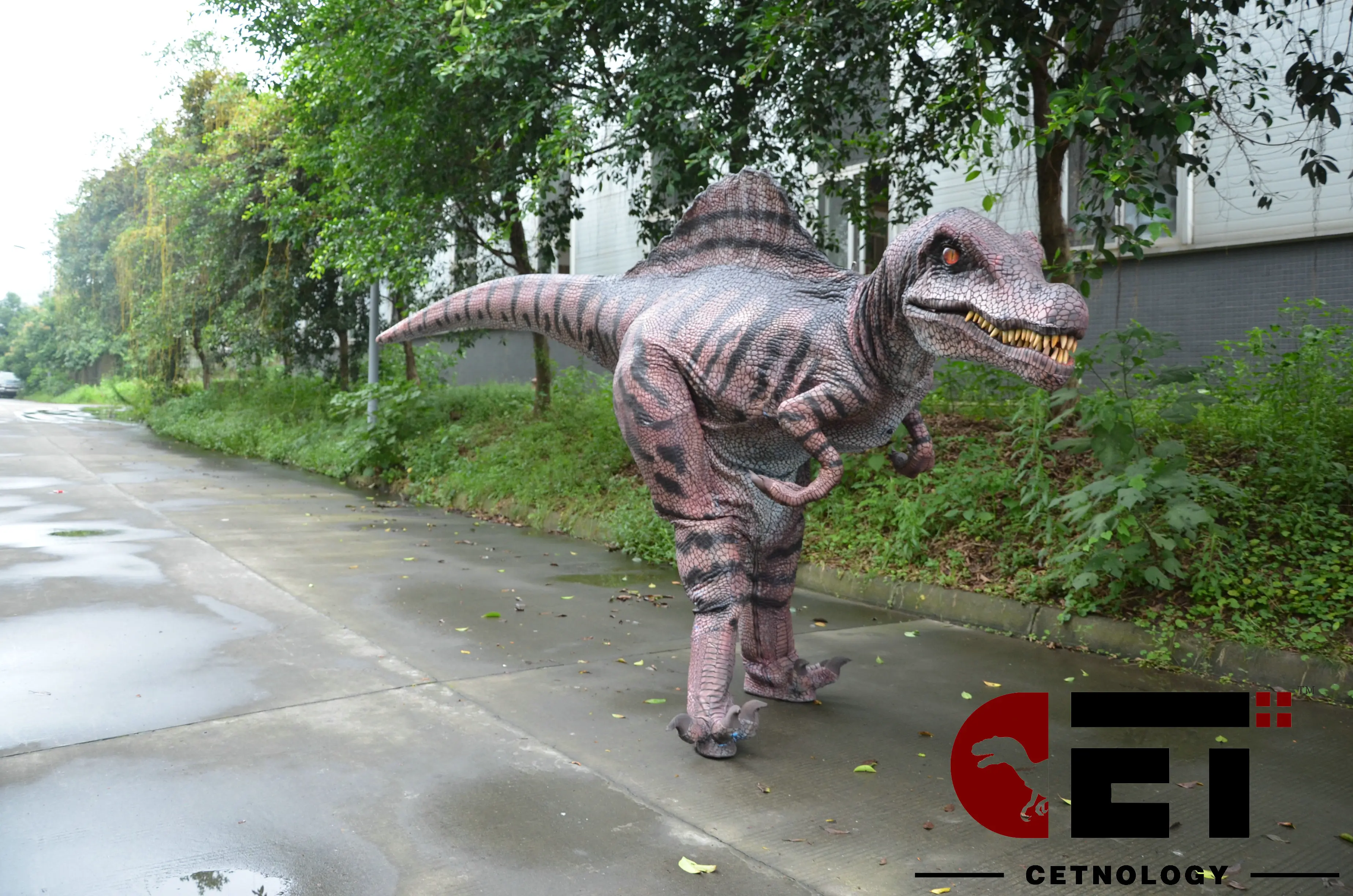Cet Dino Dinosaur Velociraptor Statue Real Size Raptor Sculpture ...