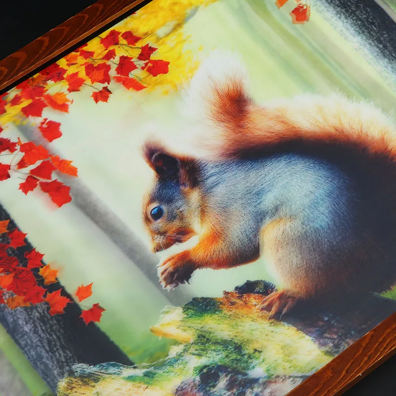 3d Lenticular Art Wall Map Picture/3d Lenticular Usa Map - Buy 3d ...