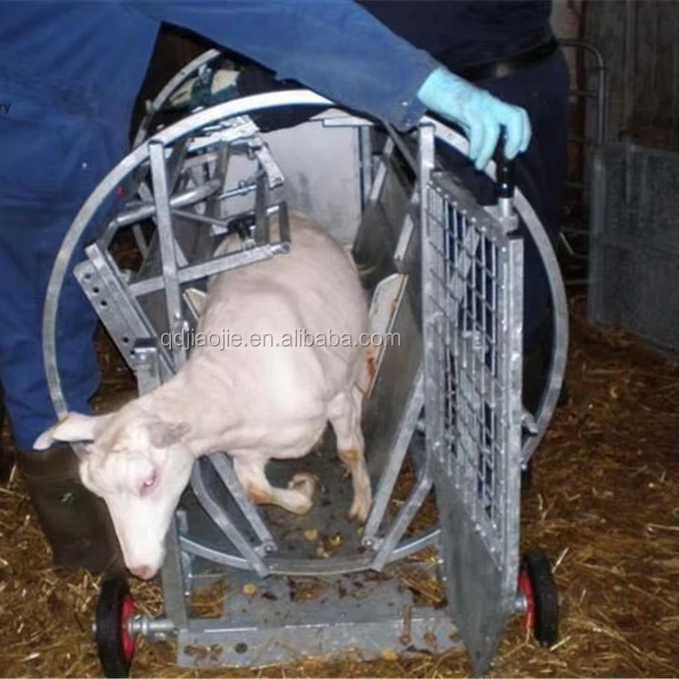 Livestock Farming Equipment Sheep Catcher for Goat| Alibaba.com
