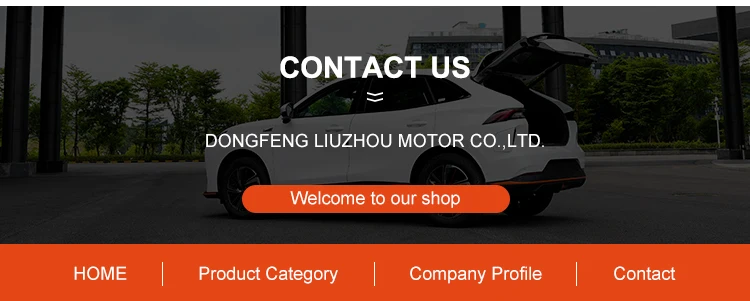 Dongfeng Forthing EV - Electric SUV with EU Certificate