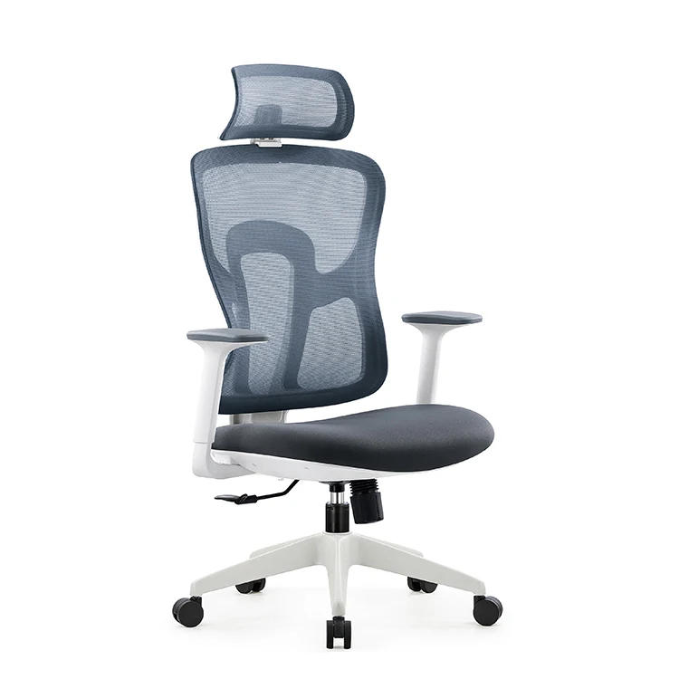 2026 Office Chair Trends: 6 Essential Shifts for Comfort & Productivity ...