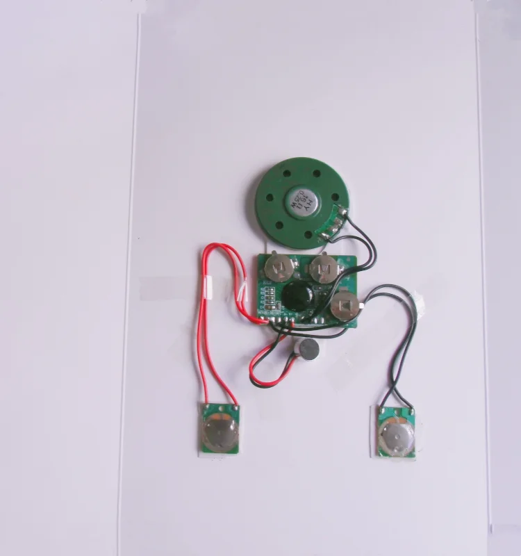 Manufacturer Recordable Sound Modules For Greeting Cards Voice Recorder ...