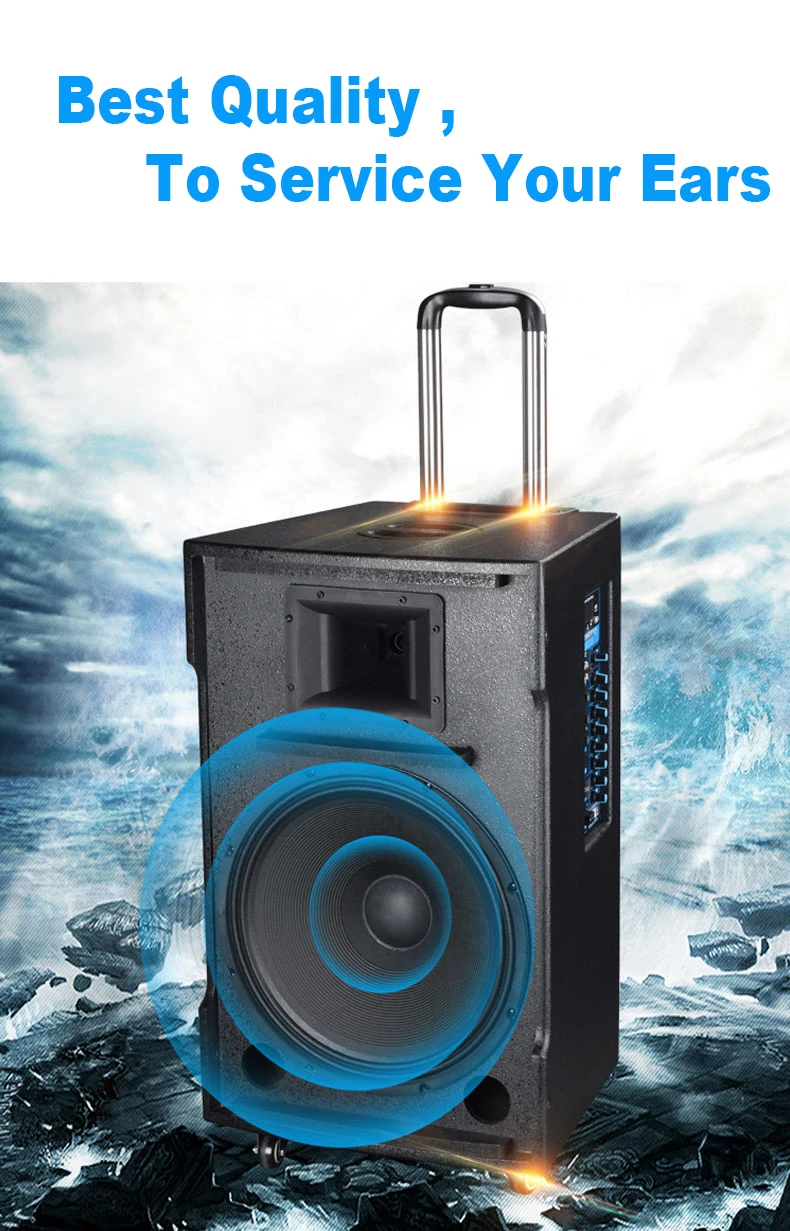 Karaoke Speaker with Wireless Microphone Tweeter Subwoofer Hifi Audio ...
