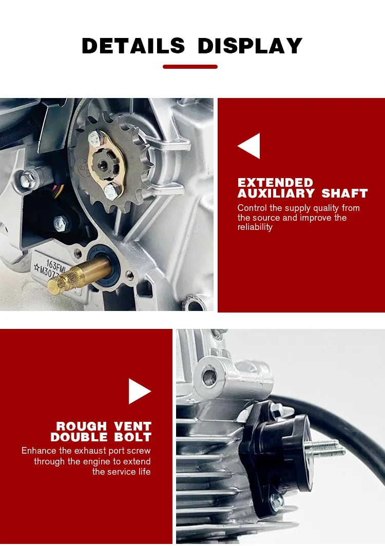 DAYANG 200cc Engine for Three Wheel Motorcycle/cargo Tricycle