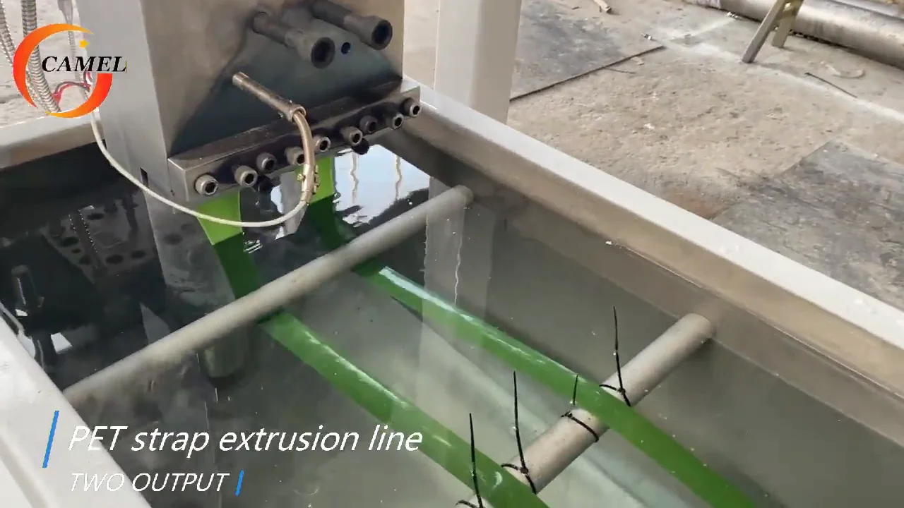 Two Cavity Pet Strapping Band Making Machine Extruder/ Pet Pp Packing ...